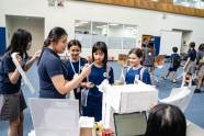 20 Environmental Education Activities For Primary Schools 20 Environmental Education Activities For Primary Schools