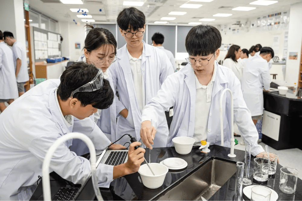 STEM vs STEAM Education: Understanding the Key Differences